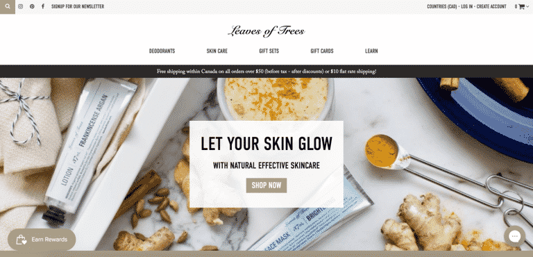 71 Best Shopify Stores For Design Inspiration (BEST LIST)